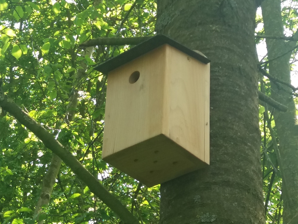 Wilder School Mellis Primary Suffolk Wildlife Trust